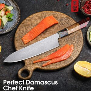 Huusk Japan Knife 8.27 Inch Razor Sharp Kitchen Knives Bundle with Boning Knife for Meat Cutting