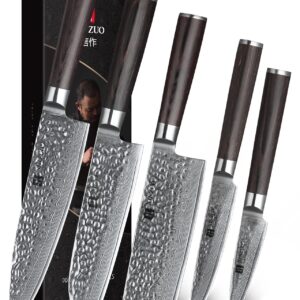 XINZUO 5-Piece Damascus Steel Kitchen Knife Set, Chef Santoku Nakiri Slicing Utility Knife Hammered Forging Damascus Kitchen Knife Professional Chef's Knife with Pakkawood Handle - He Series