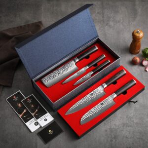 XINZUO 5-Piece Damascus Steel Kitchen Knife Set, Chef Santoku Nakiri Slicing Utility Knife Hammered Forging Damascus Kitchen Knife Professional Chef's Knife with Pakkawood Handle - He Series