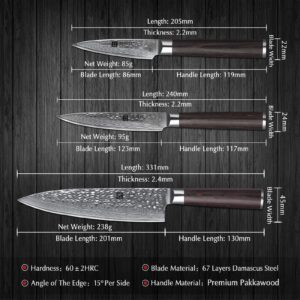 XINZUO 5-Piece Damascus Steel Kitchen Knife Set, Chef Santoku Nakiri Slicing Utility Knife Hammered Forging Damascus Kitchen Knife Professional Chef's Knife with Pakkawood Handle - He Series