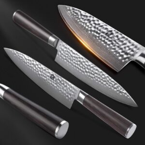 XINZUO 5-Piece Damascus Steel Kitchen Knife Set, Chef Santoku Nakiri Slicing Utility Knife Hammered Forging Damascus Kitchen Knife Professional Chef's Knife with Pakkawood Handle - He Series