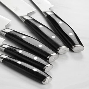 Yaxell Mon 6-piece Knife Set - Made in Japan - VG10 Stainless Steel Knives with Slim Wood Block