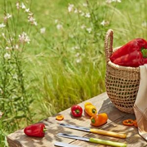 ARCOS Paring Knife Set of 3 Pieces 4 Inch Stainless Steel. Colorful Kitchen Knives for Peeling Fruits and Vegetables. Ergonomic Polypropylene Handle. Serie B-Line. Color Orange, Red and Green.