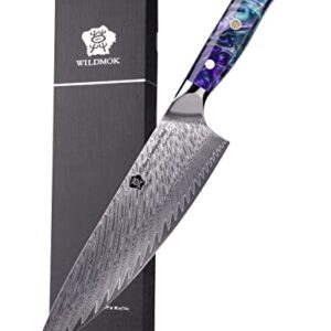 WILDMOK Chef Knife, 8 inch Damascus Japanese chef's knives, Resin Handle kitchen knife, sharp knives kitchen Cooking Knife, chef's knives Including Gift Box