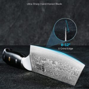 KYOKU Kiritsuke Chef Knife - Gin Series - 8.5" Multipurpose Professional Chef Knife, Japanese VG10 Damascus Stainless Steel Kitchen Knife with Silver Ion Blade G10 Handle Mosaic Pin