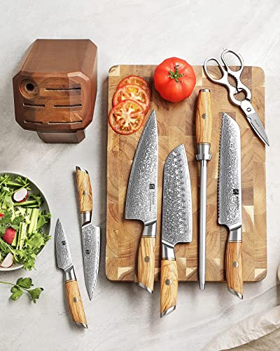 XINZUO 8-Piece Damascus kitchen Knife Set with Block& Kitchen Scissors, Hand Forged 73 Layer Damascus Powder Steel Professional Chef Knife Sets, Olive Wood Handle, Gift Box