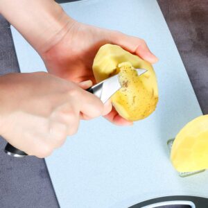 Birds Beak Paring Knife, WELLSTAR 2.75 Inch Potato Tourne Peeling Knife, Super Sharp German Stainless Steel Forged Blade and Full Tang Handle for Fruit and Vegetable Garnishing Cutting, C-Style Series