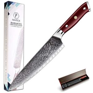 fanteck chef knife 8 inch professional damascus chef knife high carbon 67 layers vg-10 damascus knife stainless steel ultra sharp blade kitchen meat cutting knife [gift box]-ergonomic rose wood handle