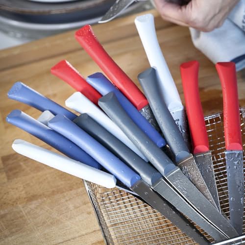 Opinel Bon Appetit + Table Knives, 4 Piece Set Steak Knives, High Carbon Steel Dinner Knives for Parties, Entertaining, or Everyday Use, Polymer Handles, Dishwasher Safe, Made in France (Lavender)