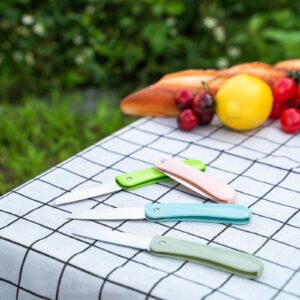 CHUYIREN Paring Knife, 4 Pcs Folding Knife, 3" Vegetable and Fruit Knife, Stainless Steel Small Kitchen Knife for Cooking, Peeling, Slicing, Picnics, & Travel, Pink/Green/Blue/Light Green