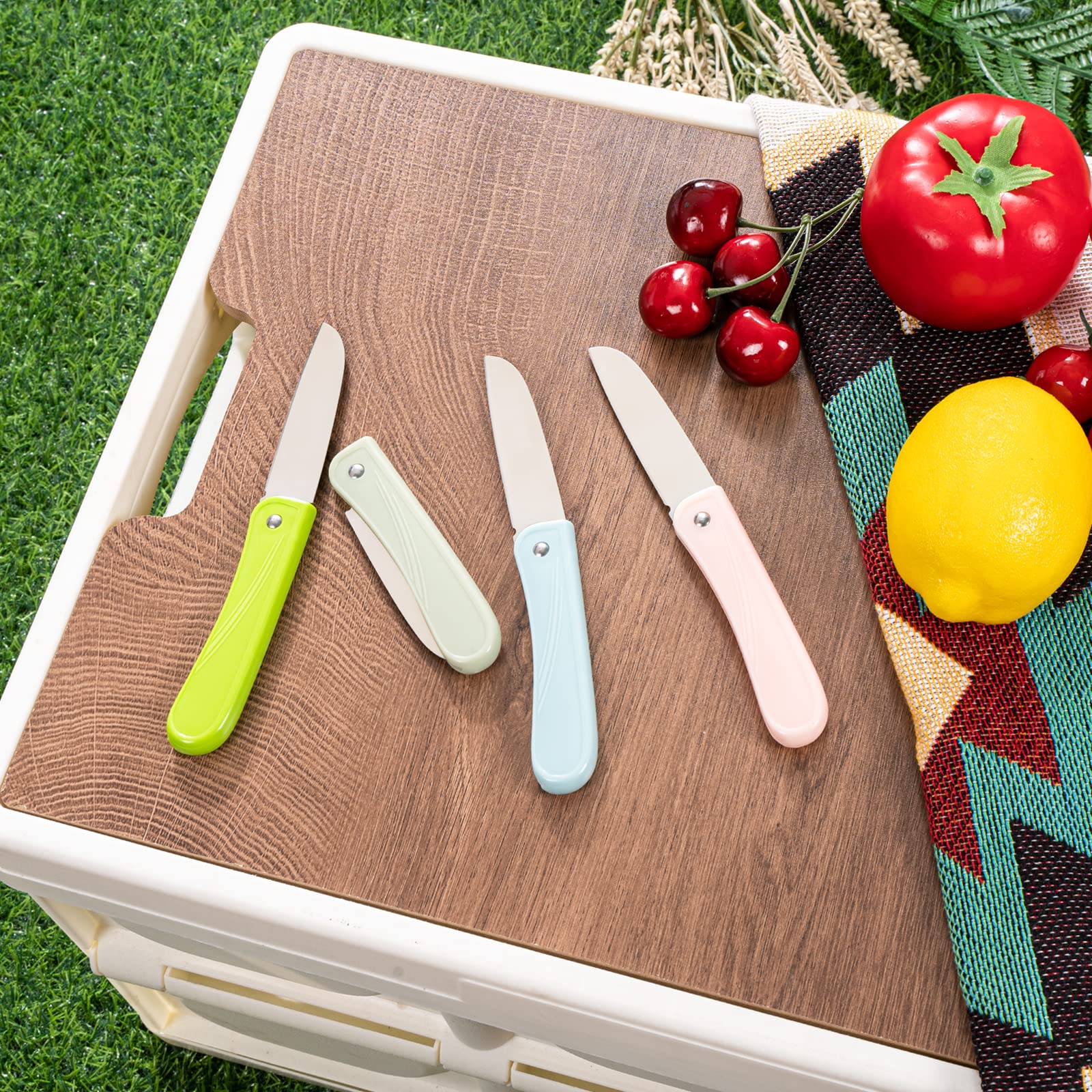 CHUYIREN Paring Knife, 4 Pcs Folding Knife, 3" Vegetable and Fruit Knife, Stainless Steel Small Kitchen Knife for Cooking, Peeling, Slicing, Picnics, & Travel, Pink/Green/Blue/Light Green