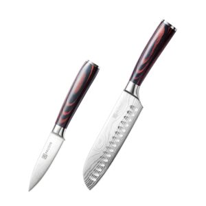 paudin paring knife and santoku knife