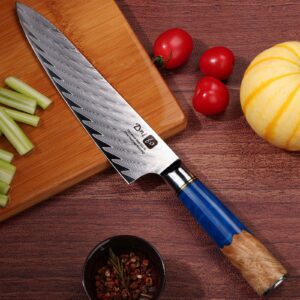 Dnifo Chef Knife, Damascus Chef Knife 8 inch, Damascus VG-10 67-Layer Steel Japanese Kitchen Knives, Full Tang Non-stick Blade and Anti-rusting Forged Cooking Knife with Gift Box