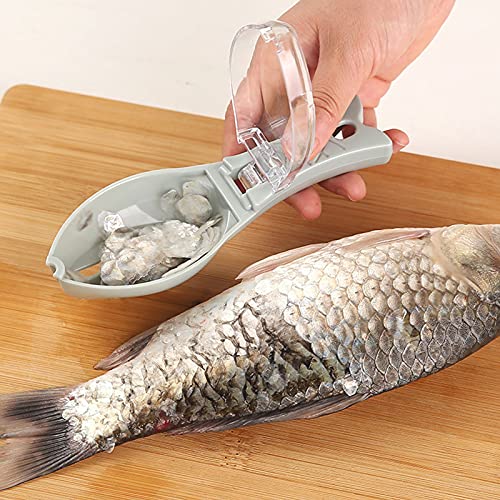 10Pcs Fish Scale Remover,Fish Scaler, Fast Remove Fish Skin Brush Plastic Fish Scales Graters Scraper,Fish Descaler Tool Skin Brush Kitchen Cooking Tools, Fish Scaler,10Pcs Fish Scale Remover, F