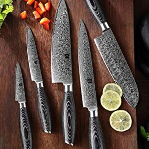 XINZUO 5PC Kitchen Knife Set Damascus Steel High Carbon Steel Chef Knife Slicing Knife Santoku Knife Utility Knife Paring Knife Sets with Pakkawood - Ya Series