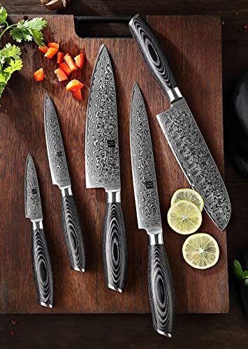 XINZUO 5PC Kitchen Knife Set Damascus Steel High Carbon Steel Chef Knife Slicing Knife Santoku Knife Utility Knife Paring Knife Sets with Pakkawood - Ya Series