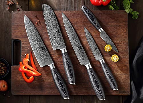 XINZUO 5PC Kitchen Knife Set Damascus Steel High Carbon Steel Chef Knife Slicing Knife Santoku Knife Utility Knife Paring Knife Sets with Pakkawood - Ya Series