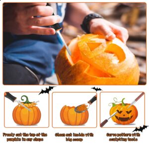 Samyoung Pumpkin Carving Kit Tools, 13 Piece Heavy Duty Stainless Steel Pumpkin Carving Set with Light Strips, Pumpkin Cutting Supplies Tools Kit with Carrying Case