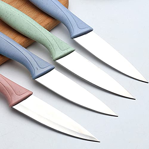 Kocpudu Fruit Knife Small, 3 Sharp and Durable Fruit Knife, Exquisite and Beautiful, with Scabbard, Paring Knife is Suitable for Most Vegetables, Fruits and Meat (pink, Blue, Green)