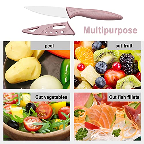 Kocpudu Fruit Knife Small, 3 Sharp and Durable Fruit Knife, Exquisite and Beautiful, with Scabbard, Paring Knife is Suitable for Most Vegetables, Fruits and Meat (pink, Blue, Green)