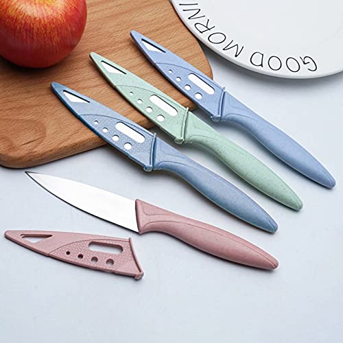 Kocpudu Fruit Knife Small, 3 Sharp and Durable Fruit Knife, Exquisite and Beautiful, with Scabbard, Paring Knife is Suitable for Most Vegetables, Fruits and Meat (pink, Blue, Green)