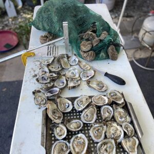 Oyster Shucker Machine, Oyster Clam Shucking Kit