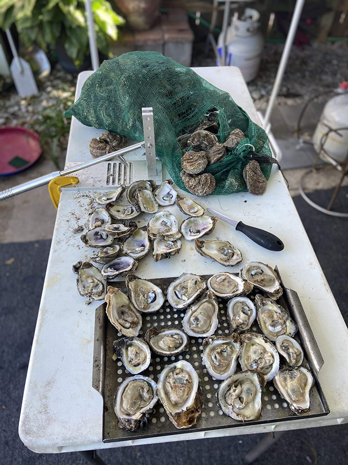 Oyster Shucker Machine, Oyster Clam Shucking Kit