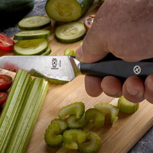 Mercer Culinary M13790 Premium Grade Super Steel, 5-Inch Utility Knife, G10 Handle