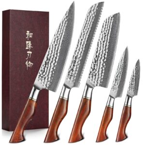 hezhen damascus knife set 5pcs,premium powder steel forged hammered pattern, rosewood handle, home cooking kitchen knives