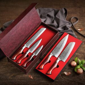 HEZHEN Damascus Knife Set 5PCS,Premium Powder Steel Forged Hammered Pattern, Rosewood Handle, Home Cooking Kitchen Knives