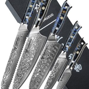 SANMUZUO Chef Cooking Knives Set- Kitchen Knife Set of 5 Piece - Ultra-Sharp VG10 Damascus Steel & Resin Handle - Xuan Series (Starry Black)