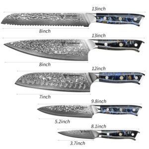 SANMUZUO Chef Cooking Knives Set- Kitchen Knife Set of 5 Piece - Ultra-Sharp VG10 Damascus Steel & Resin Handle - Xuan Series (Starry Black)