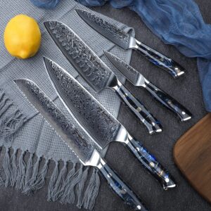 SANMUZUO Chef Cooking Knives Set- Kitchen Knife Set of 5 Piece - Ultra-Sharp VG10 Damascus Steel & Resin Handle - Xuan Series (Starry Black)