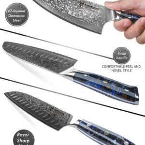 SANMUZUO Chef Cooking Knives Set- Kitchen Knife Set of 5 Piece - Ultra-Sharp VG10 Damascus Steel & Resin Handle - Xuan Series (Starry Black)