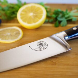 NEUTRINO Pro Chef Knife, 8-Inch Blade, High Carbon Japanese Stainless Steel, Full Tang Handle, Razor Sharp Kitchen Knife for Chopping & Dicing