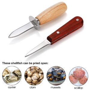 ZOOFOX 6 Pack Oyster Knife Shucker Set, Stainless Steel Oyster Knife for Clam and Shellfish Tool Party Supply