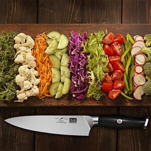 SHAN ZU Chef Knife, Kitchen Knife 8 inch Chef's Knives, High Carbon German Stainless Steel Sharp Chefs Knife with ABS Ergonomic Handle, Kitchen Gifts