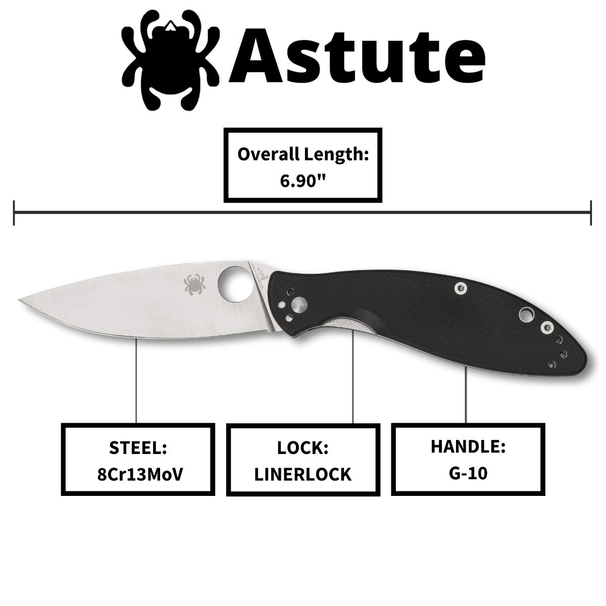 Spyderco Astute Value Knife with 3.02" Stainless Steel Blade and Durable Black G-10 - PlainEdge - C252GP