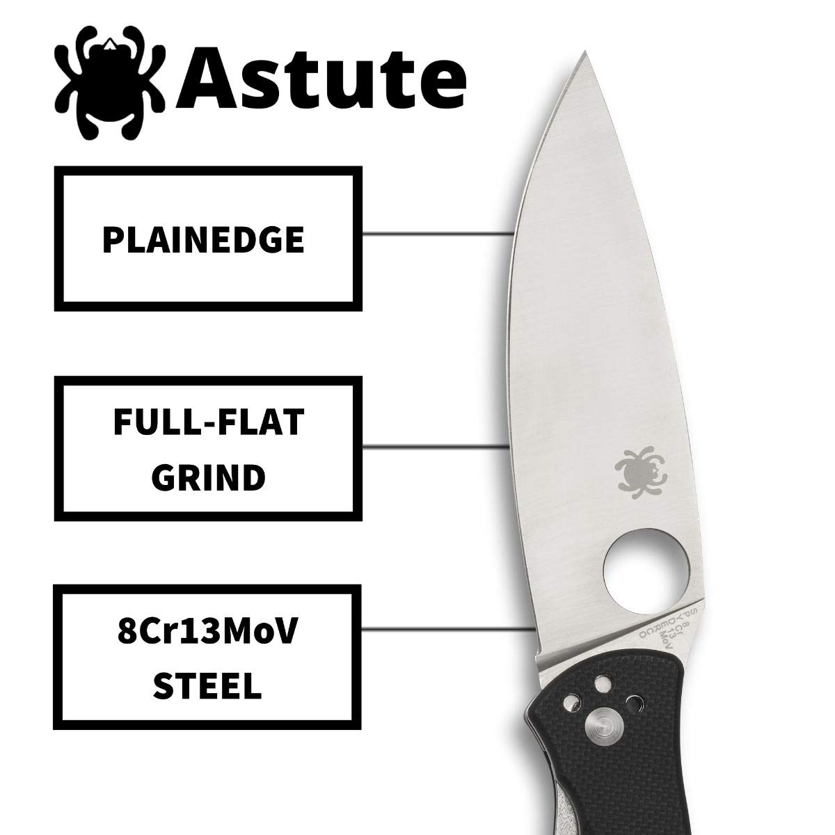 Spyderco Astute Value Knife with 3.02" Stainless Steel Blade and Durable Black G-10 - PlainEdge - C252GP