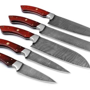 Handmade Damascus Steel Blade Kitchen Knife Set 5pcs Best Damascus Chef Knife Set Professional Kitchen Cooking Knives With Leather Case/Bag