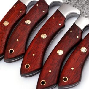 Handmade Damascus Steel Blade Kitchen Knife Set 5pcs Best Damascus Chef Knife Set Professional Kitchen Cooking Knives With Leather Case/Bag