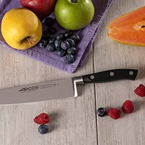 ARCOS Chef Knife 8 Inch Stainless Steel. Professional Cooking Knife for Cutting Fish, Meat and Onion. Ergonomic Polyoxymethylene Handle and 200mm Blade. Series Riviera. Color Black