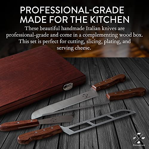 Formaticum Professional 4 Knife Set- Modern Cheese Knife Set w/Solid Walnut Ergonomic Handle, Stainless Steel Knives in a Wooden Box, Great Gift for Cheese Charcuterie Fan, Handmade in Italy