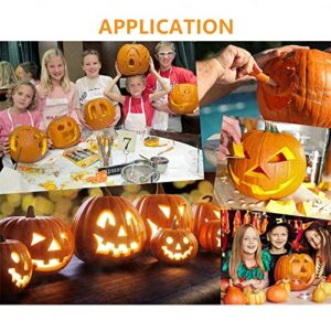 Halloween Pumpkin Carving Kit,13 Pieces Professional Stainless Steel Pumpkin Carving Tools Kit with 8 Carving Stencils Carrying Case-Carve Jack-O-Lanterns Halloween Decorations DIY