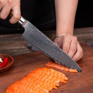 JunJing 8 inch Damascus Chef Knife, Damascus Steel Kitchen Chef Knife, Gyuto Chef Knife 67-layer High Carbon Stainless Steel with Ergonomic Resin Wood Handle