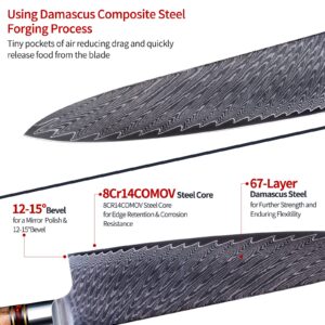 JunJing 8 inch Damascus Chef Knife, Damascus Steel Kitchen Chef Knife, Gyuto Chef Knife 67-layer High Carbon Stainless Steel with Ergonomic Resin Wood Handle