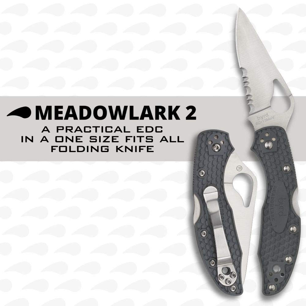 Spyderco Byrd Meadowlark 2 Lightweight Knife with 2.90" Stainless Steel Blade and Gray Non-Slip FRN Handle - CombinationEdge - BY04PSGY2