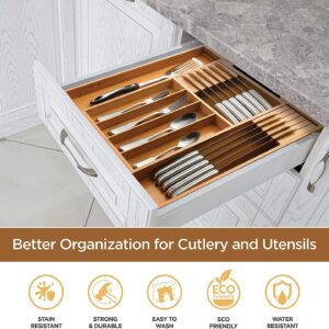 In-Drawer Knife Block Organizer and Utensil Organizer for Kitchen Drawers