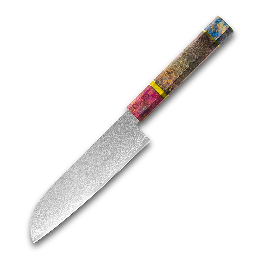 Damascus Chef Knife Unique Handle Professional 8 Inch Japanese Chefs Kitchen Knife Vg10 67 Layers Damascus Steel Knive with Sheath (gyuto knife)