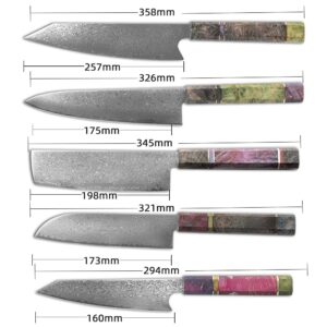 Damascus Chef Knife Unique Handle Professional 8 Inch Japanese Chefs Kitchen Knife Vg10 67 Layers Damascus Steel Knive with Sheath (gyuto knife)